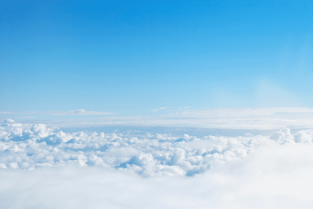 Brandy Falcon - Centroid